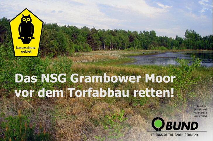 Das Naturschutzgebiet Grambower Moor vor dem Torfabbau retten ...