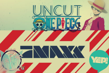One Piece - UNCUT Auf PRO7MAXX - Online-Petition