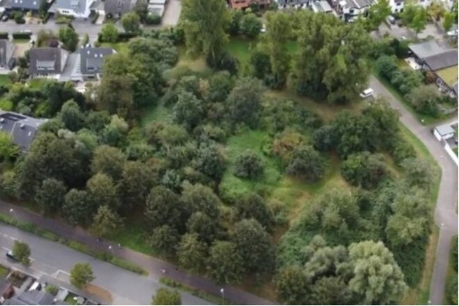 Pro & Contra: Rettet die Grünfläche in Meerbusch Lank - für Natur Bäume ...